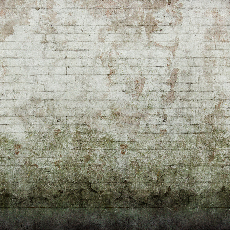 Papyrus 3D - Template